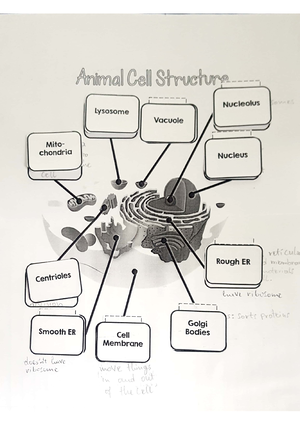cell structures notes - BIO 265 - Studocu