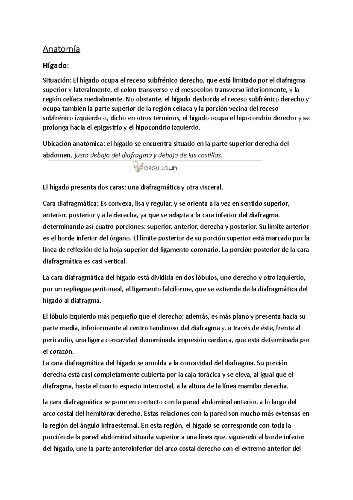 Anatomía - anatomia - Anatomía Hígado: Situación: El hígado ocupa el ...