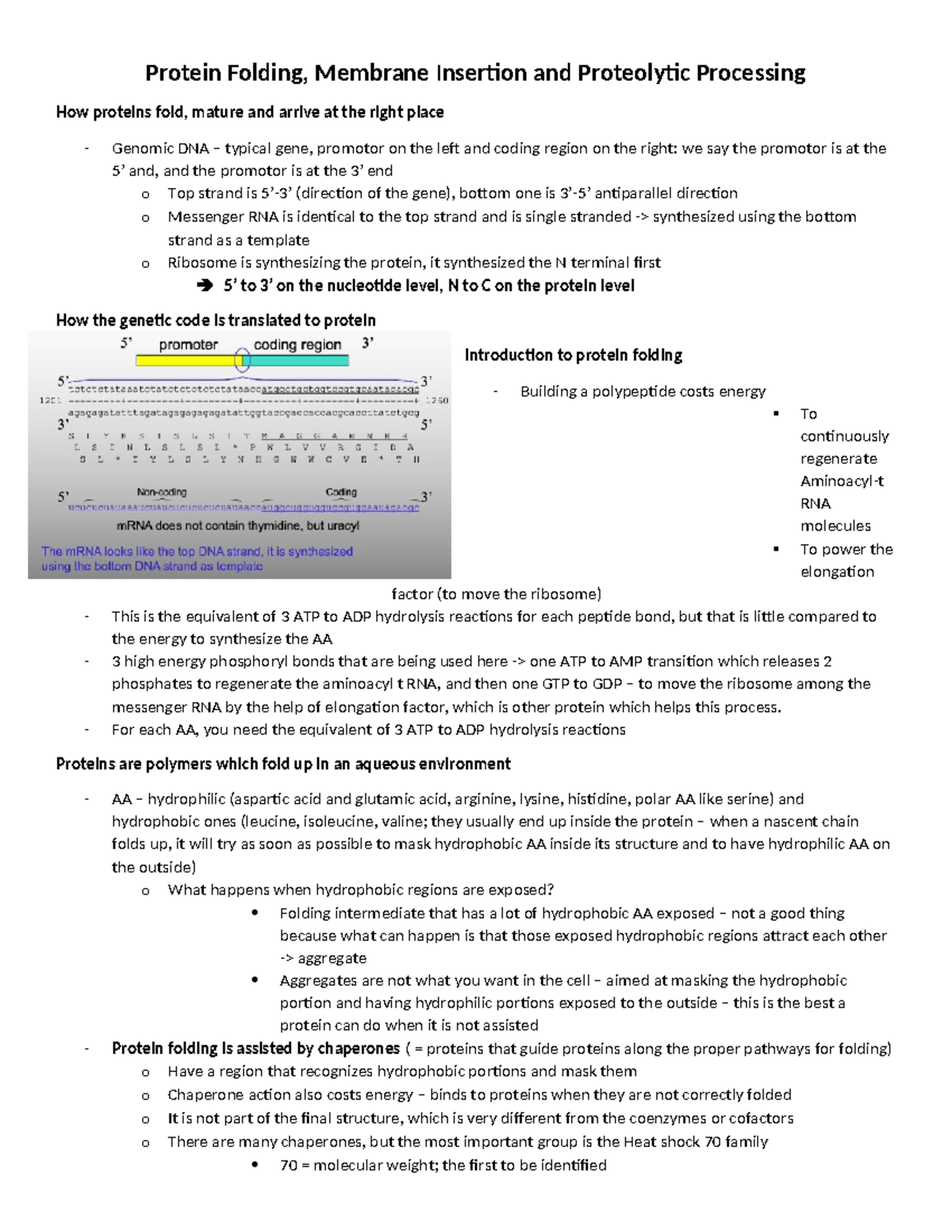 Protein Folding, Membrane Insertion and Proteolytic Processing - For ...