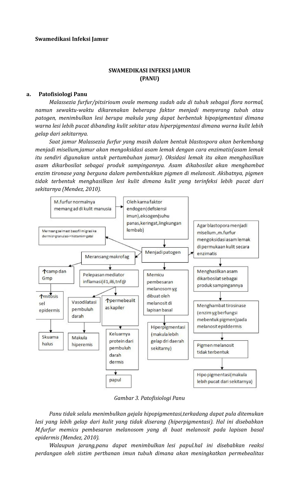 Swamedikasi Infeksi Jamur - Swamedikasi Infeksi Jamur SWAMEDIKASI ...