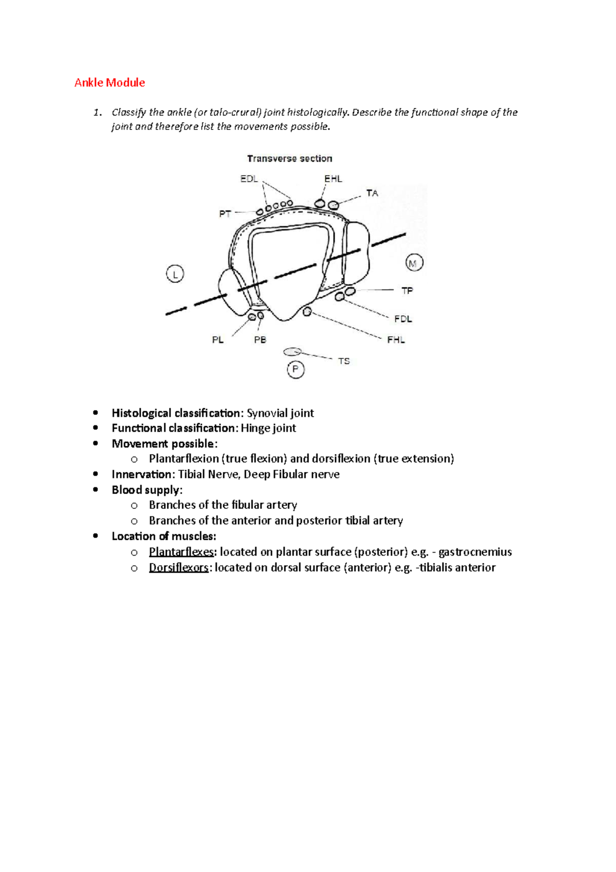 Ankle prac notes - Ankle Module Classify the ankle (or talo-crural ...