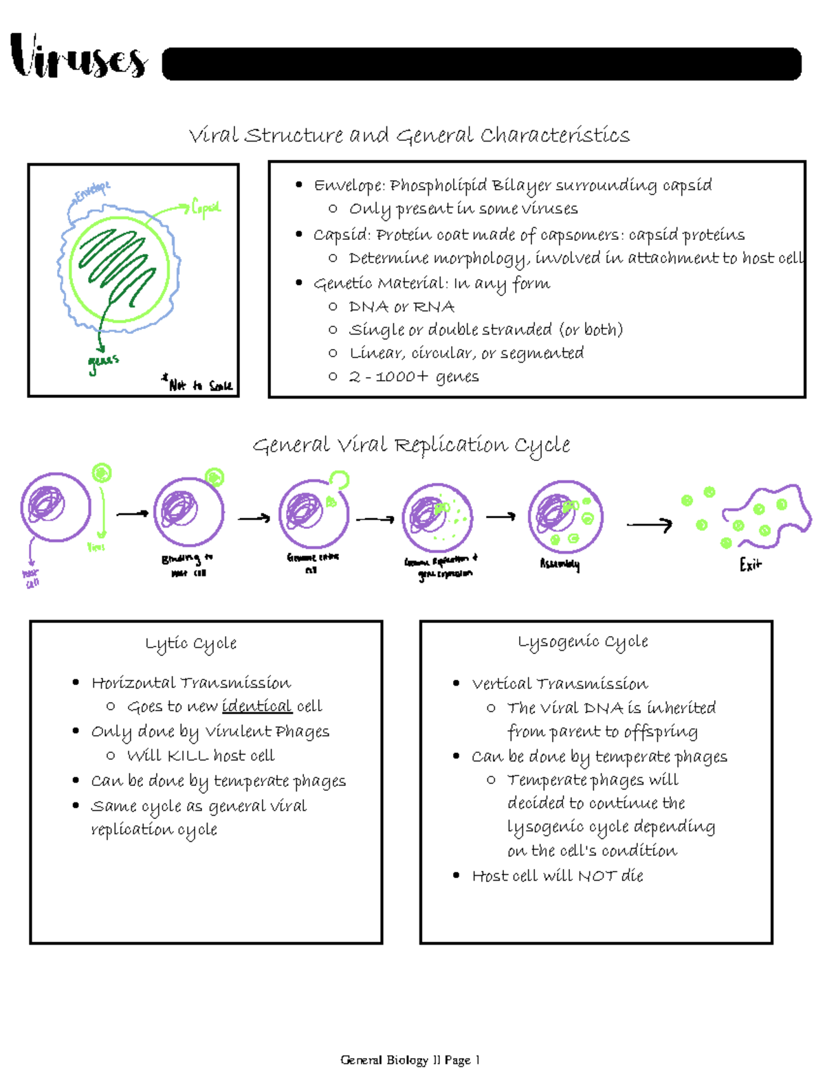 Viruses - General Viral Replication Cycle Lytic Cycle Lysogenic Cycle ...
