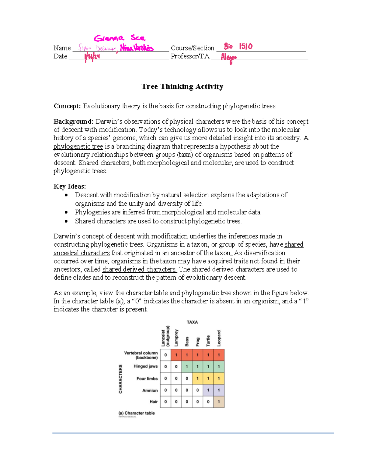 Phylogenetic Trees Tree Thinking Activity - Name ...