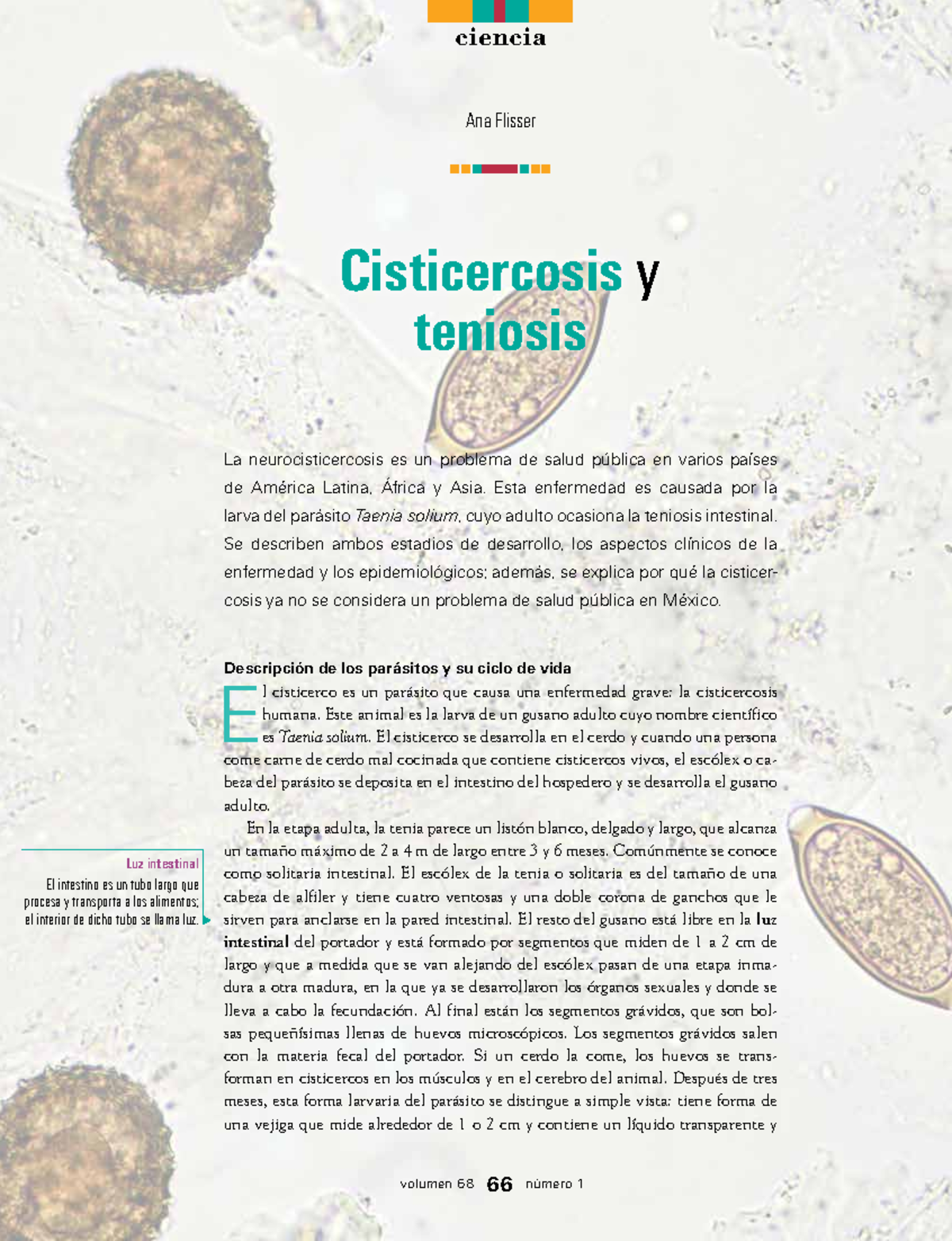 Cisticercosis - ciencia Ana Flisser Cisticercosis y teniosis Luz ...