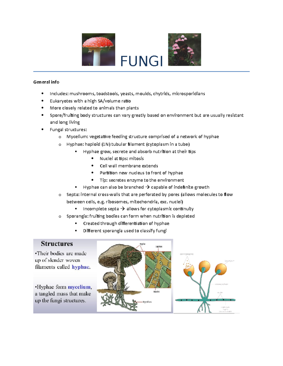 Fungi (Ecology section) - FUNGI General info Includes: mushrooms ...