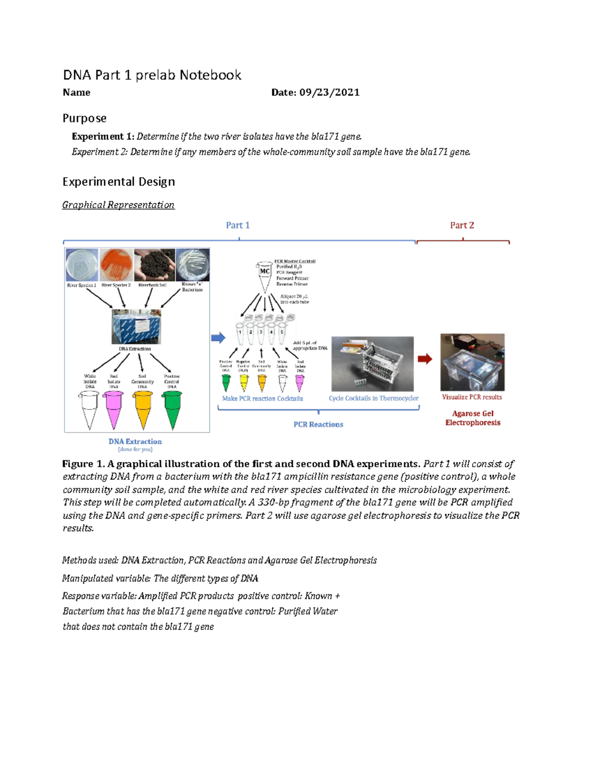 Roberts.S7 - Roberts.S7 - DNA Part 1 prelab Notebook Name Date: 09/23/ Purpose Experiment 1 ...