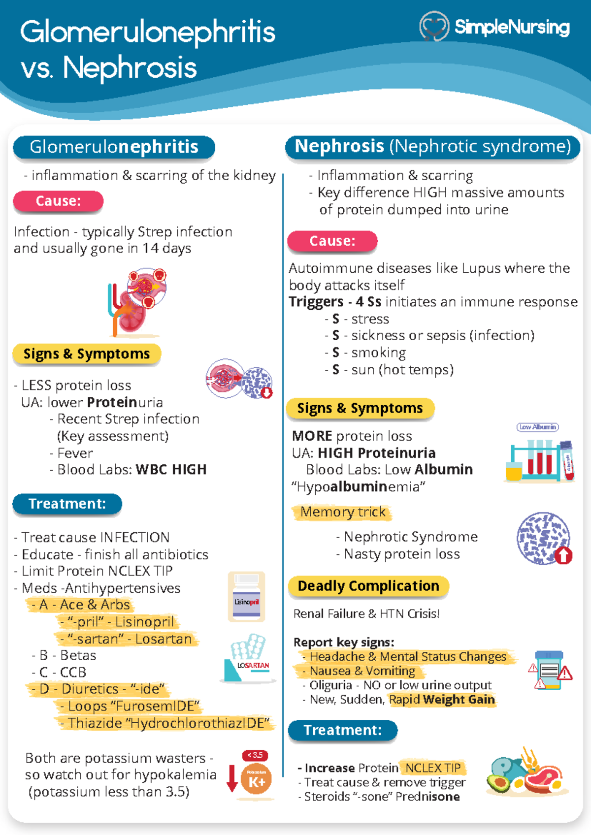 3.Glomerulonephritis vs. Nephrosis - Glomerulonephritis vs. Nephrosis ...