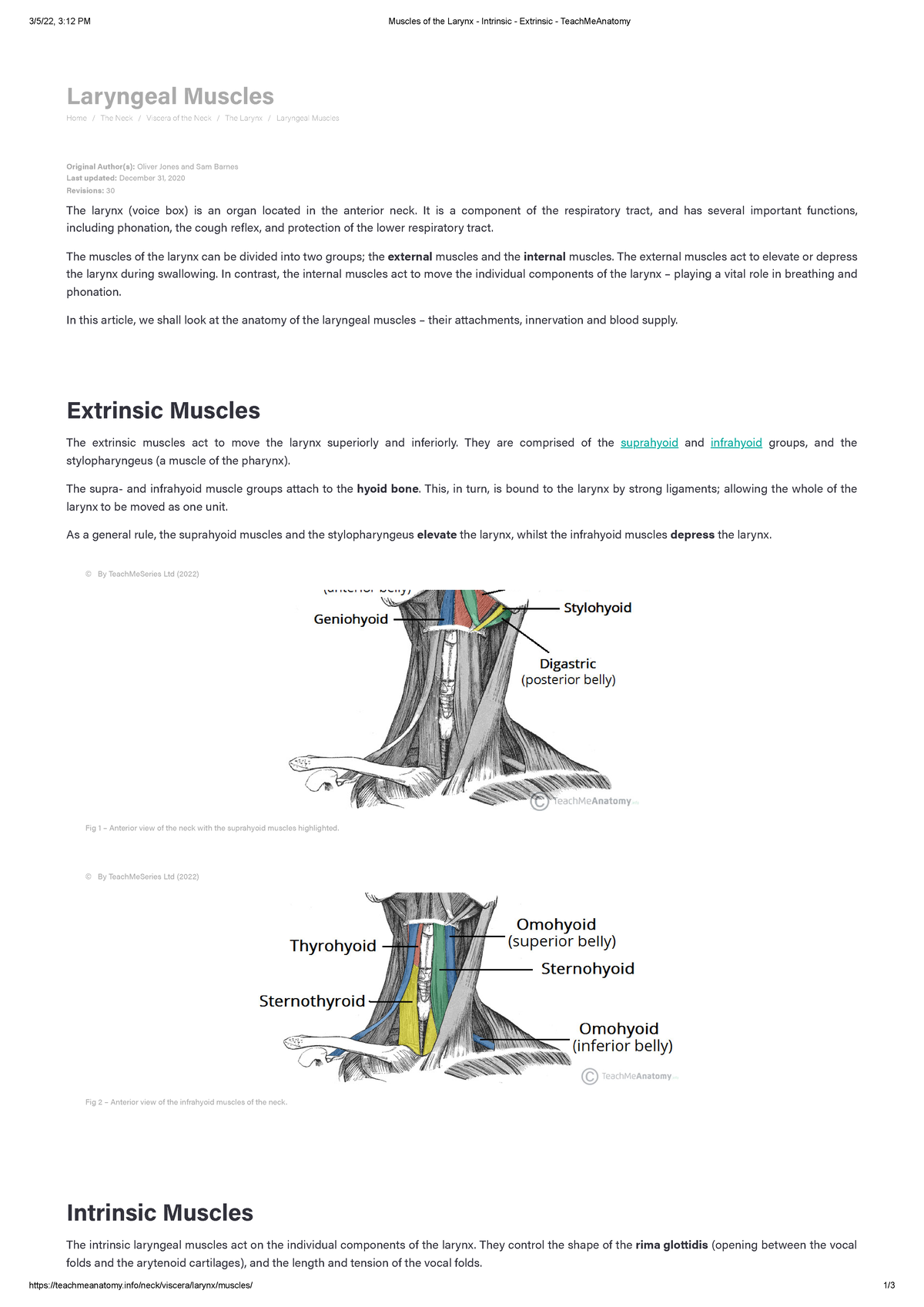 Extrinsic Laryngeal Muscles