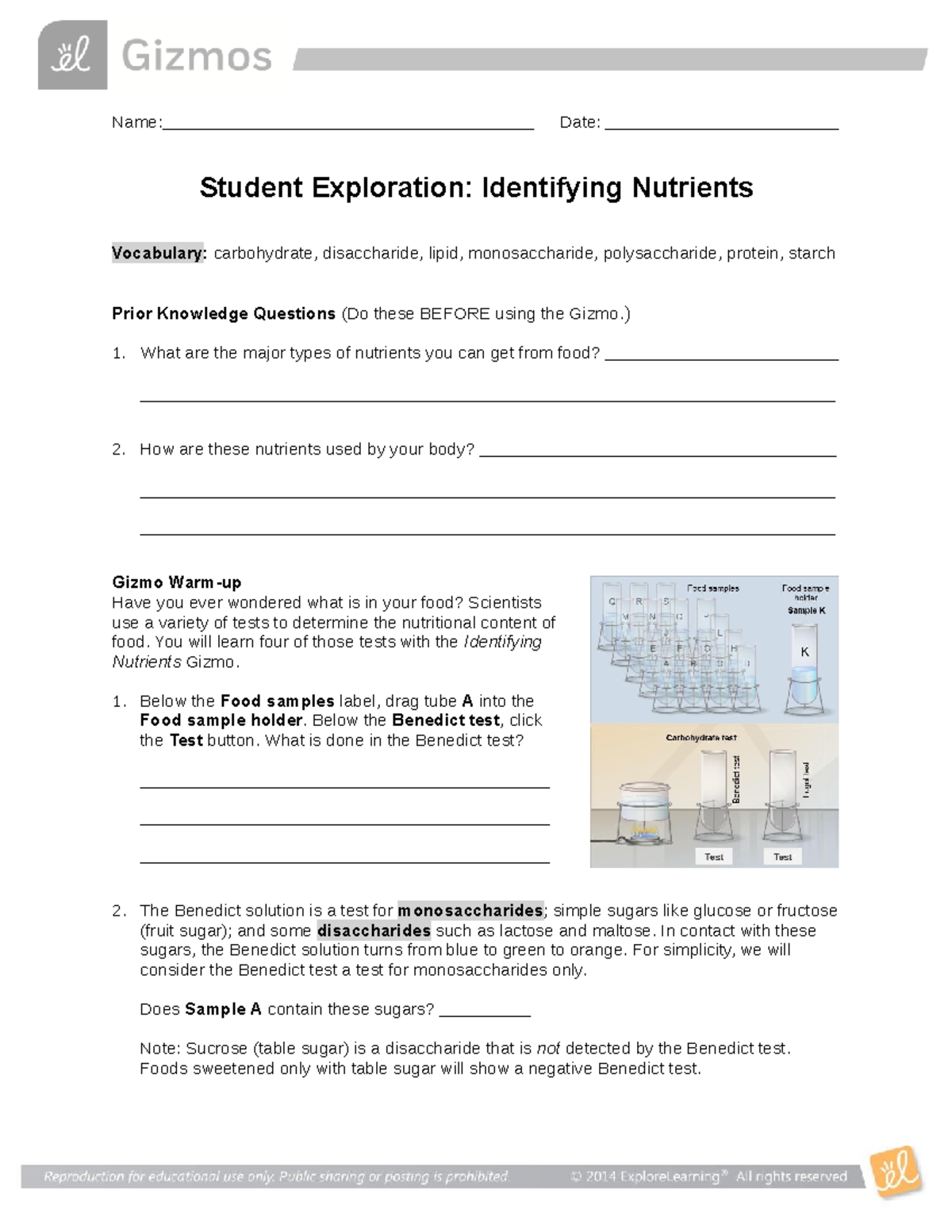 Identifying Nutrients SE - Name: Date: Student Exploration: Identifying ...