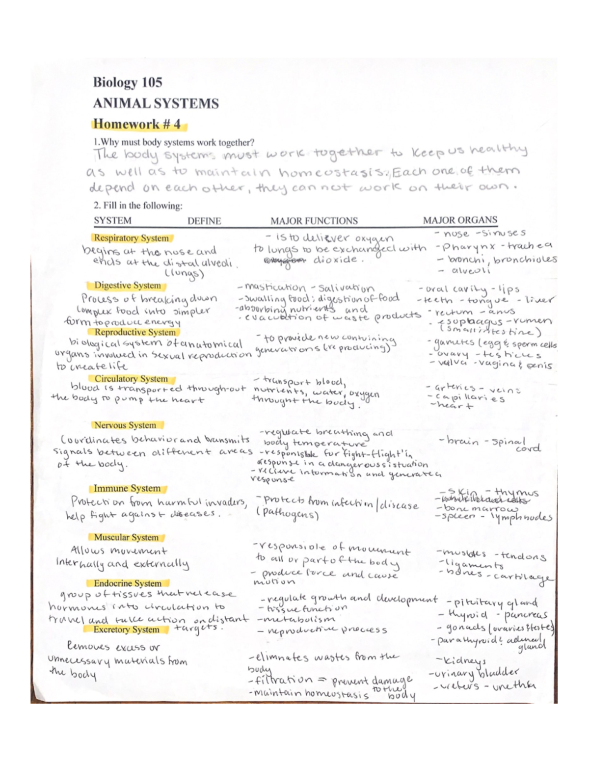 Animal System Homework #4 - Biology 105 ANIMAL SYSTEMS to ce UB Wendl ...