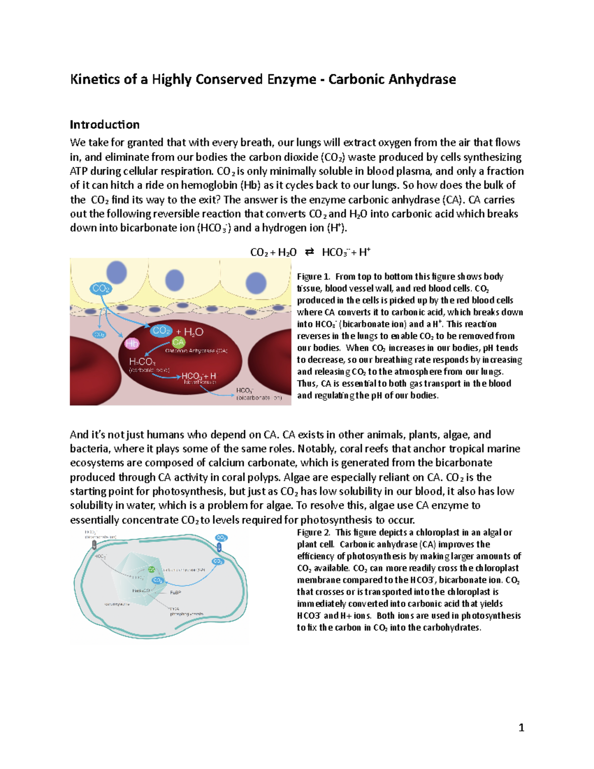 Enzyme kinetics module prework (extra credit) - Kinetics of a Highly ...