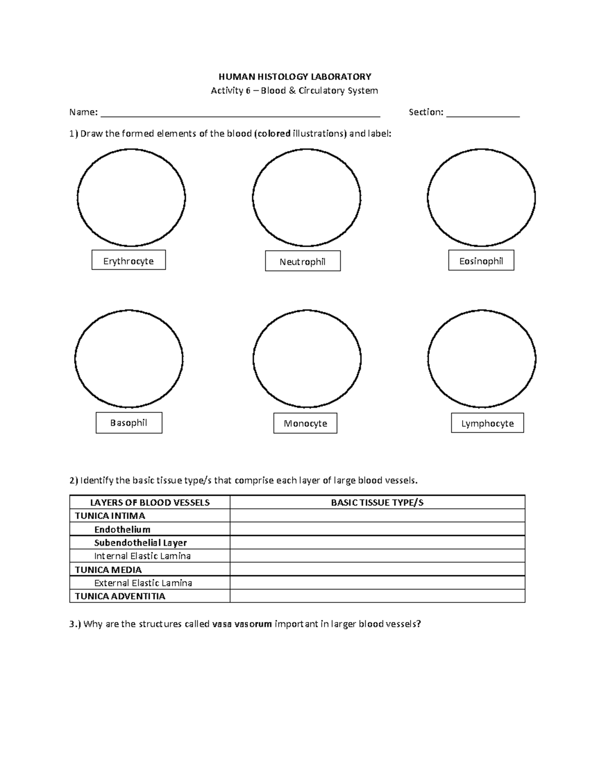 Activity 6 - Blood & Circulatory - HUMAN HISTOLOGY LABORATORY Activity ...