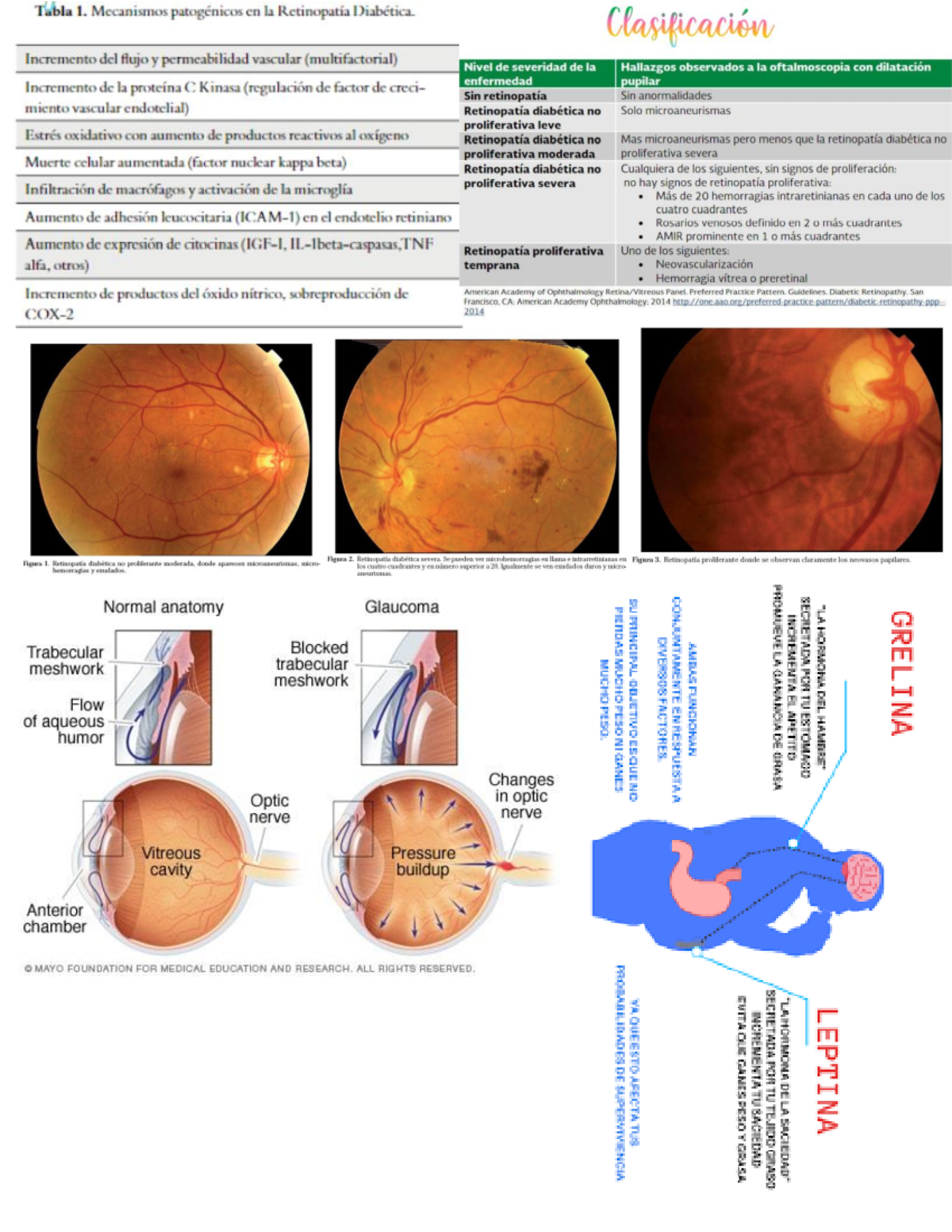 Oftalmología - enfermeria medico quirurgica - UNINACIONES - Studocu