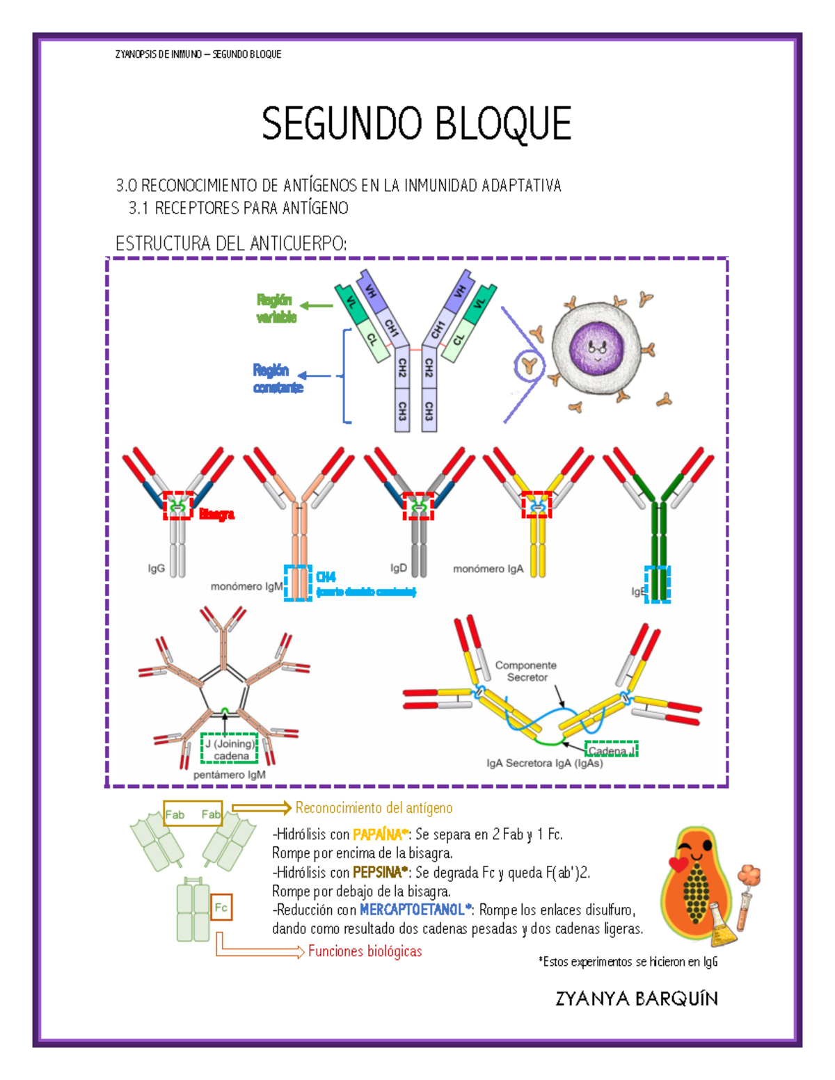 Zyanopsis DE Inmuno 2.0 - Segundo Bloque - Warning: TT: undefined function: 32 SEGUNDO BLOQUE 3 ...