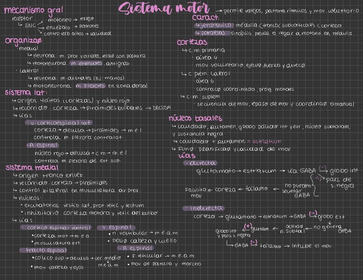 Sistema motor - Mecanismo Sistema motor gra / → permite reflejos ...