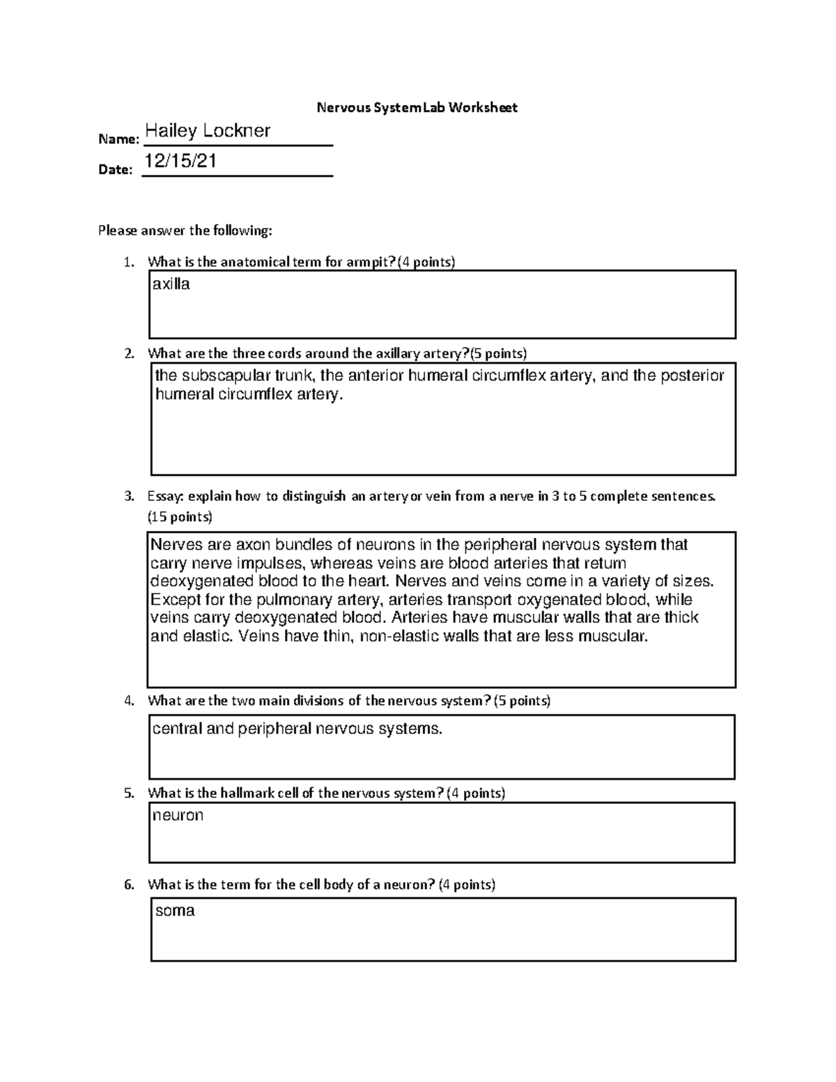 Nervous System Lab Worksheet Anatomy - Name ...