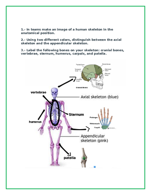 B1 - Human Body Care Introduction to Anatomy of the Human Body Body ...