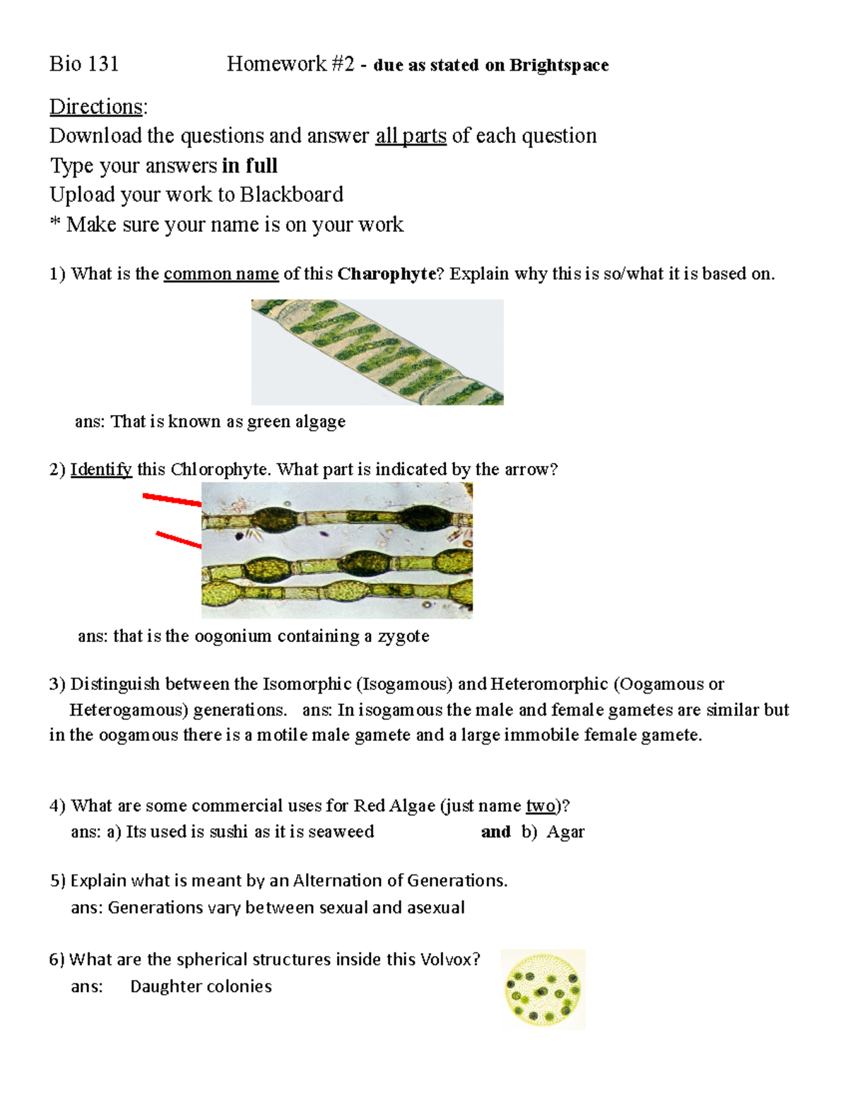 Homework #2 - Bio 131 Homework #2 - due as stated on Brightspace ...
