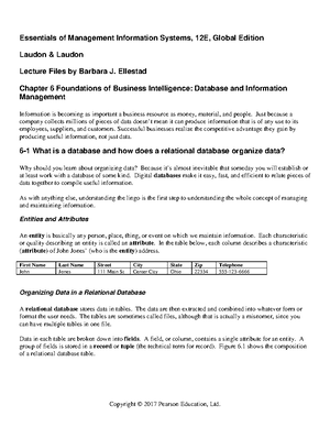chapter 1 Information Systems in Global Business Today - Management ...