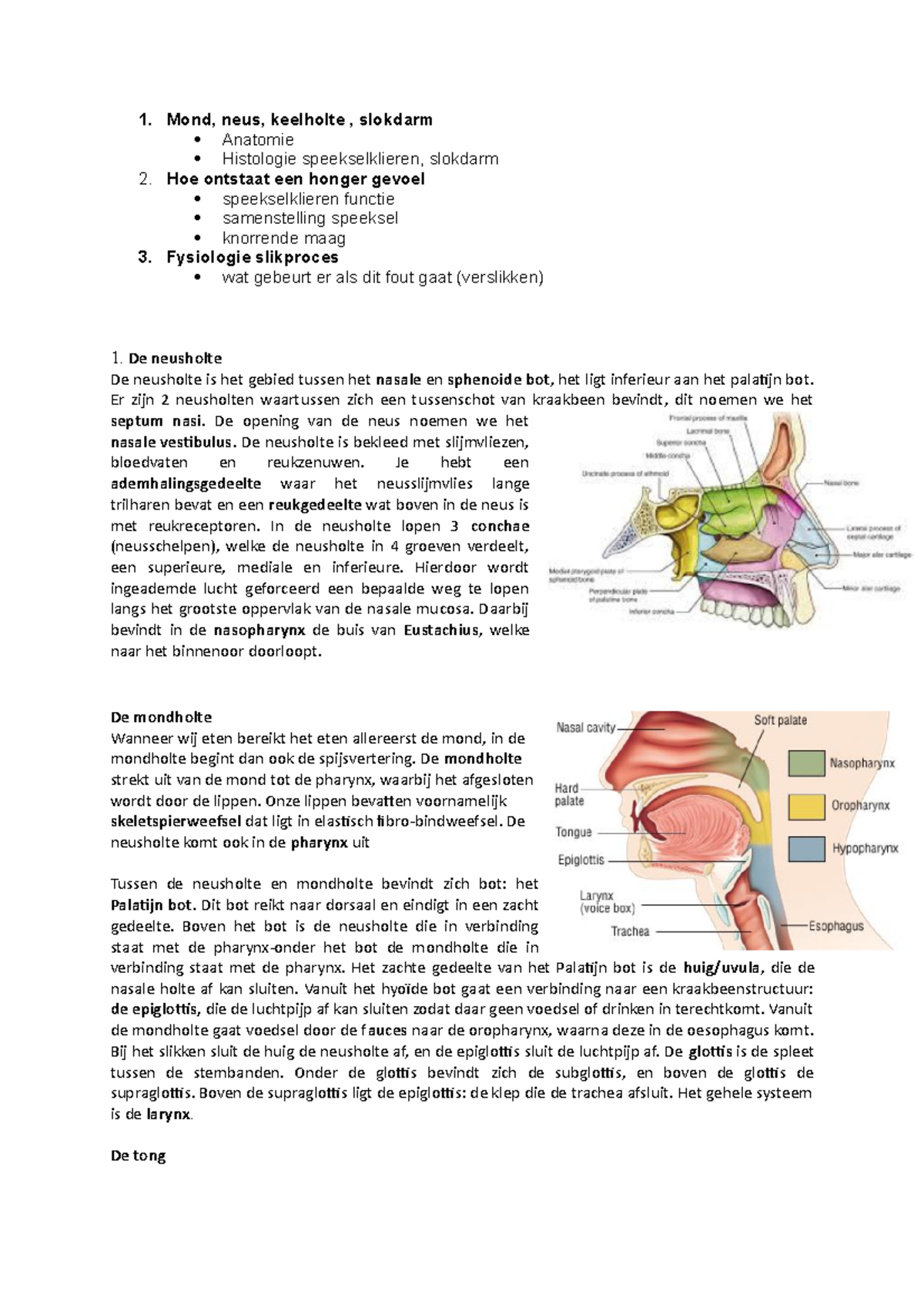 Verteer en verweer casus 1 - 1. Mond, neus, keelholte , slokdarm ...