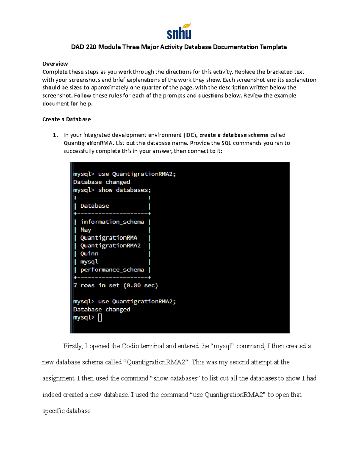 Dad 220 Module Three Major Activity Database Documentation Template Replace The Bracketed Text
