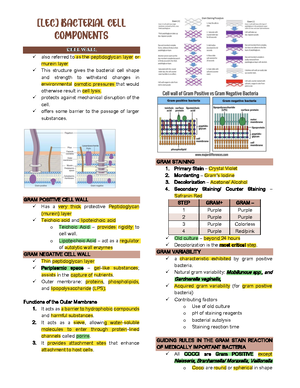 BACT-LEC - baxt lec - Introduction to Diagnostic Bacteriology CLINICAL ...