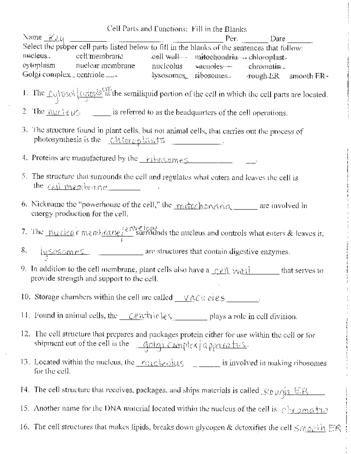 Cell Parts And Functions KEY BIOL 1406 Studocu Cell Parts And Functions KEY BIOL 1406 Studocu