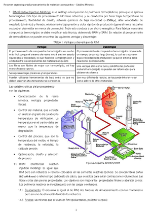 Moldeo por inyección reactiva - Moldeo por reactiva (RIM) para la de ...