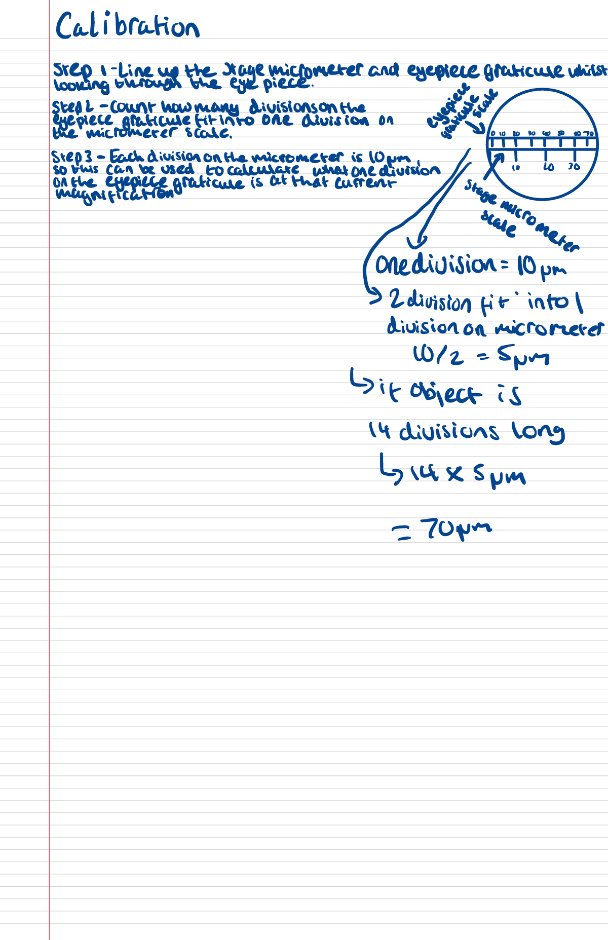 Biology - Calibration Step 1- Line up the stage micrometer and eyepiece graticule whilst looking ...