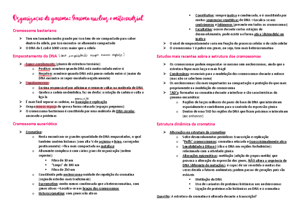 Aula 6-Organizaçao do genoma 220511 010819 - Organizaçao do genoma ...