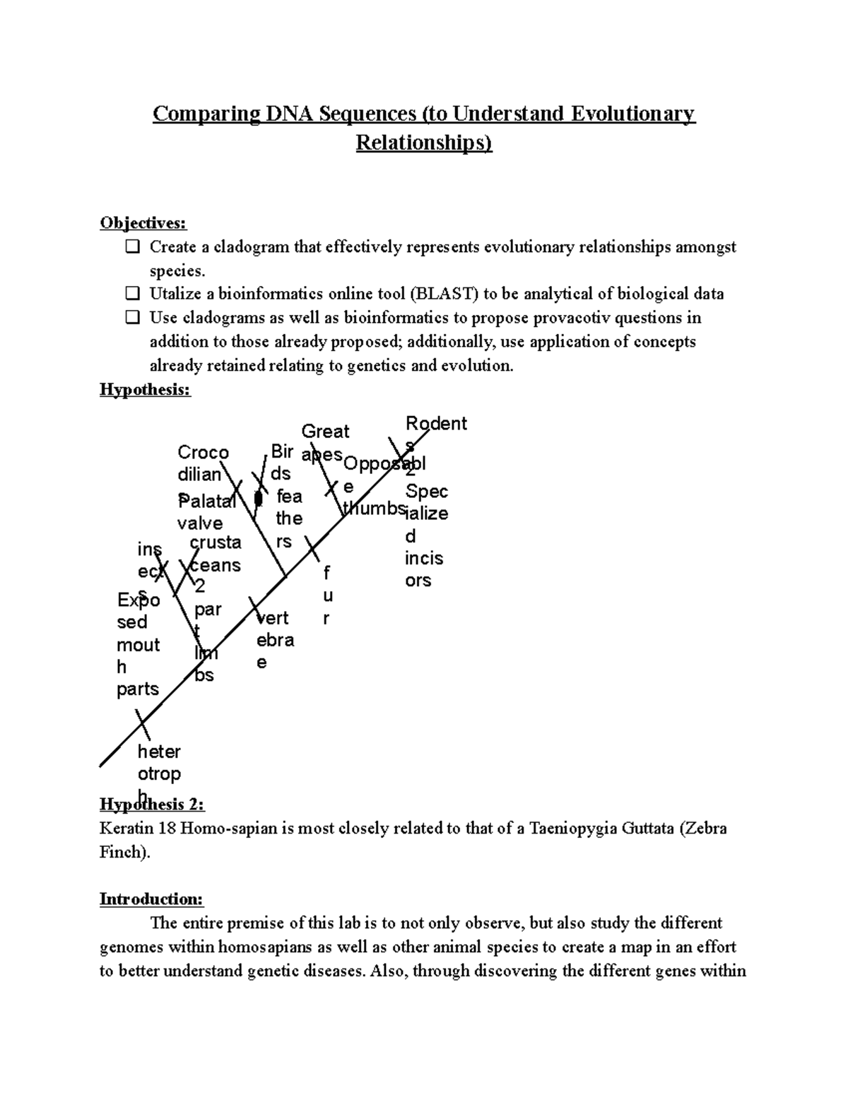 DNA Sequences Lab - DNA, Genome, Microbiology, Cellular Biology ...