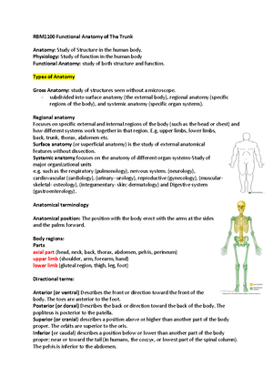 RBM1100 Anatomy of the Trunk studentworksheet 2A - RBM1100 Anatomy of ...
