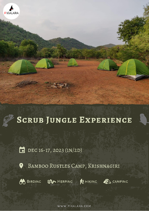 Crypto 24 Assignment 2 - Assignment II - B VIIth Semester Cryptography last date for submission ...