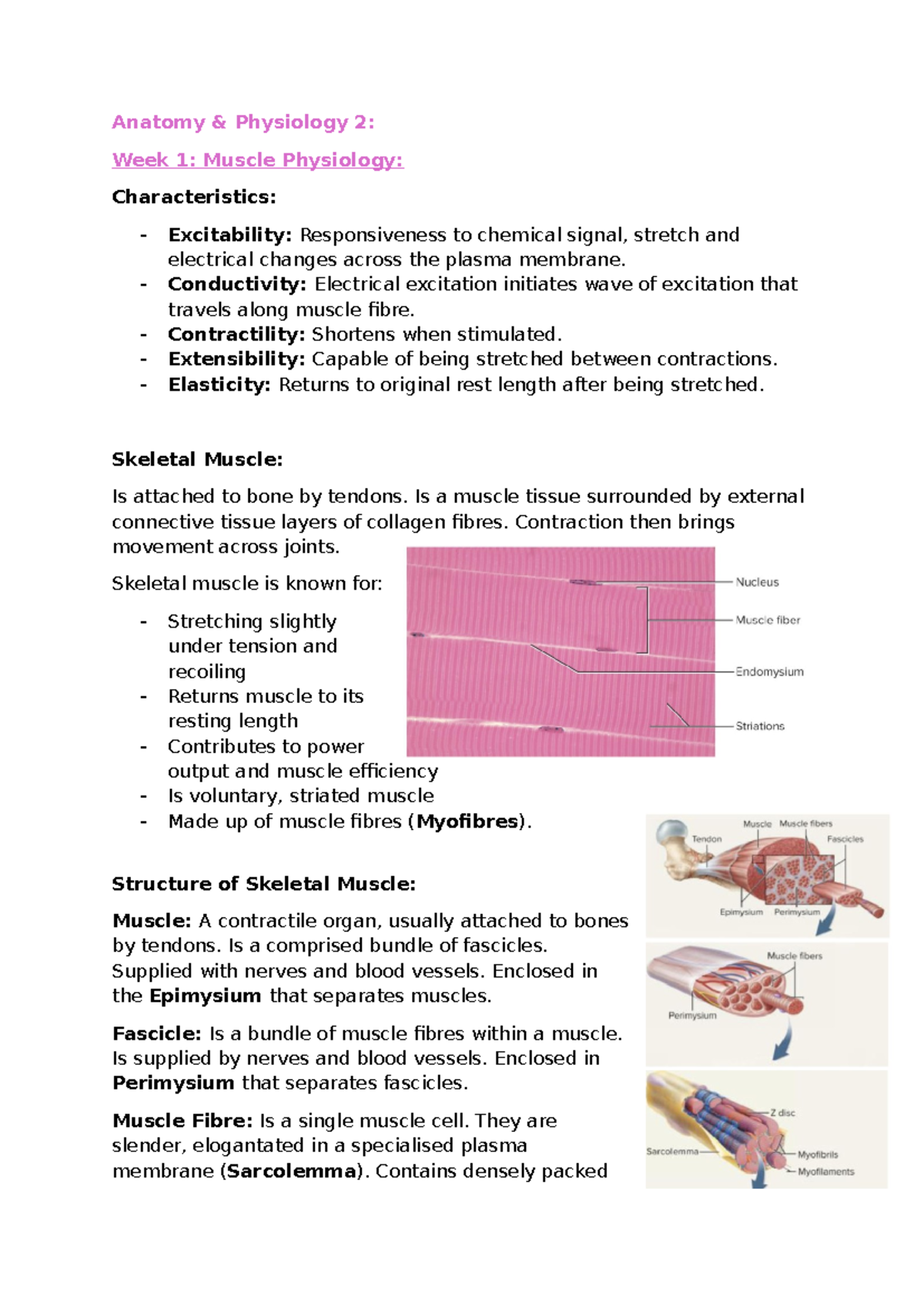 Anatomy & Physiology 2 - Notes from lectures - Anatomy & Physiology 2 ...