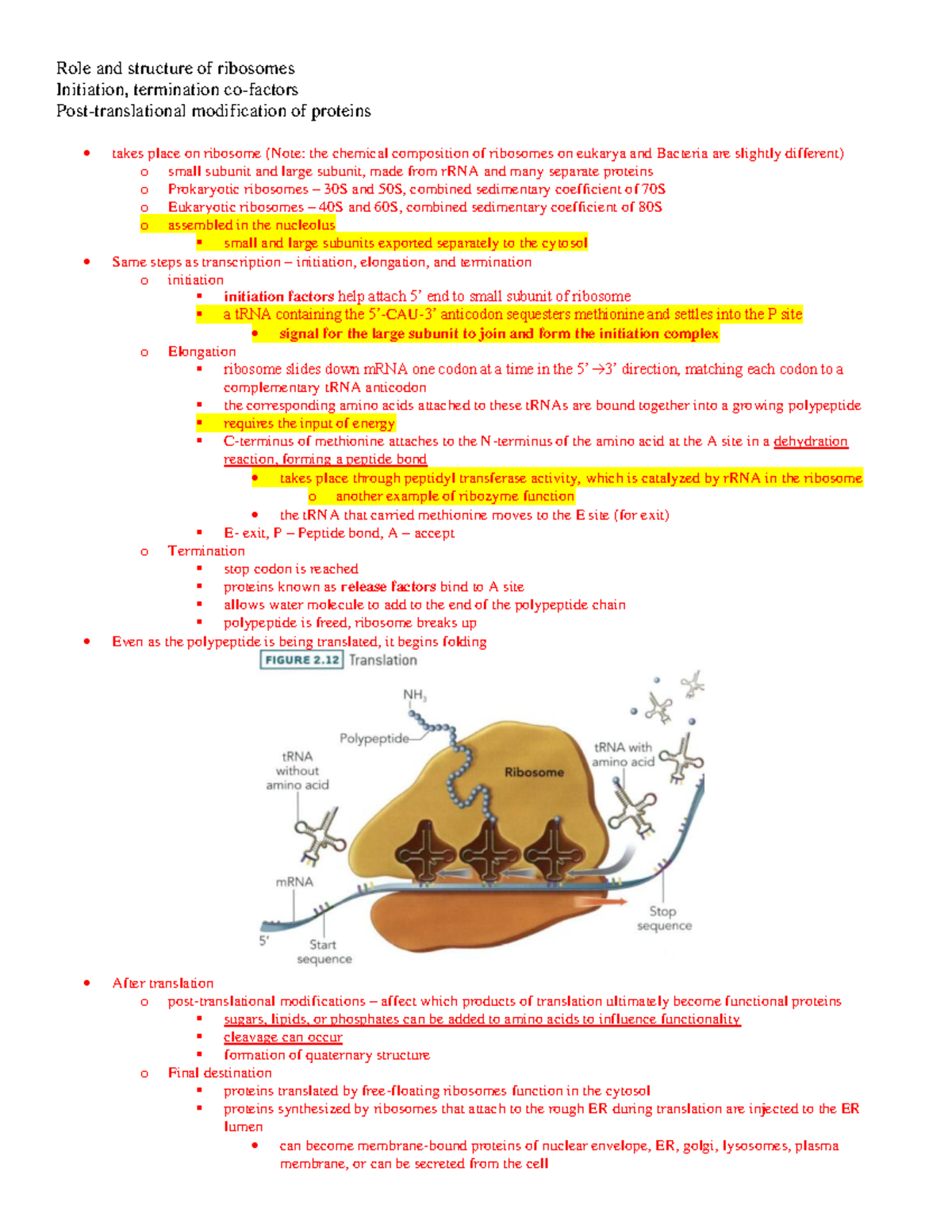 Lecture notes detailed content 10-10 - Role and structure of ribosomes ...