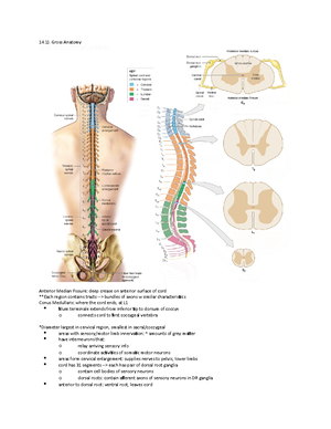 Unit 2 Blueprint-1 - structure of Unit 2 - Anatomy and Physiology 337 ...
