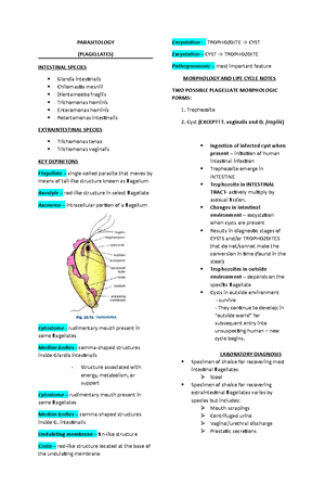 Reflection Paper 2 - REFLECTION PAPER “Madam Geeta Rani” A social film ...