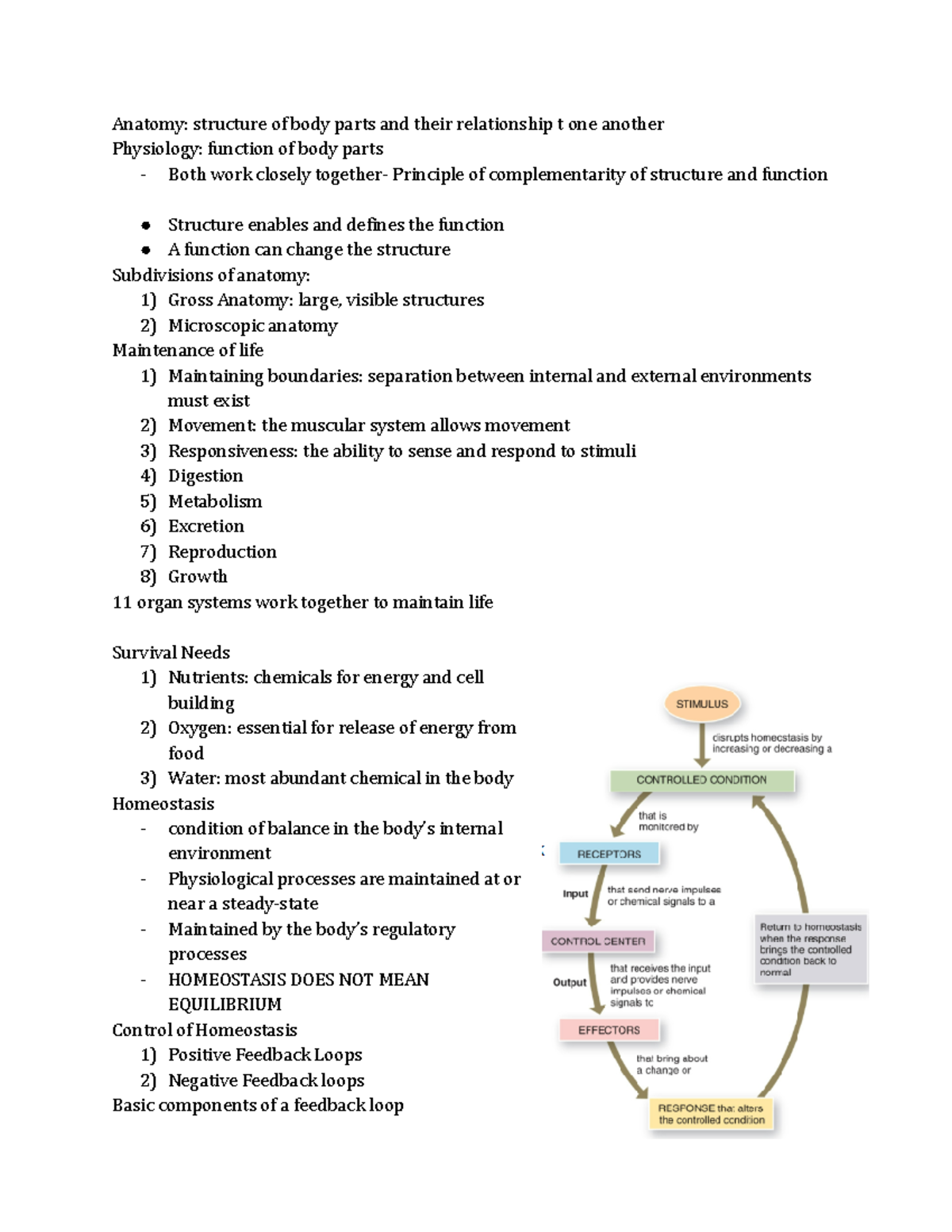 Anatomy Chapter 1 Slides - Anatomy: structure of body parts and their ...