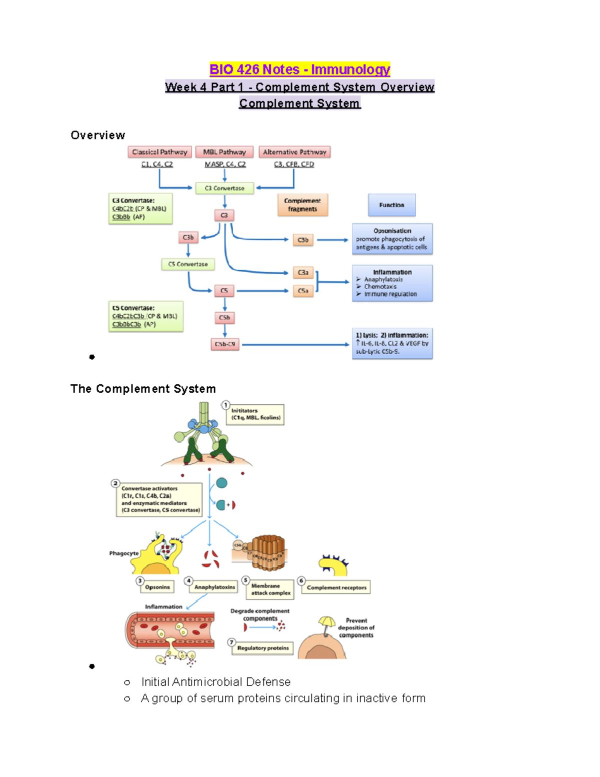 BIO 426 Week 4 Lecture Part 1 - Complement System Overview - BIO 426 ...