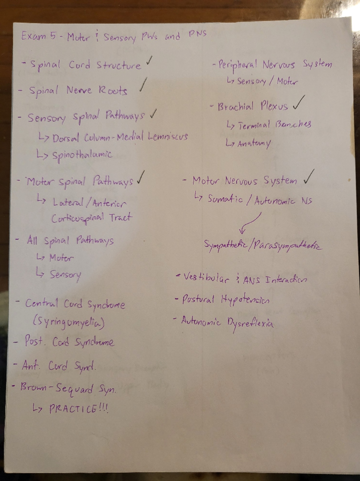 Jpg2pdf (36) - Notes concerning brain anatomy - OTHR 5008 - Studocu