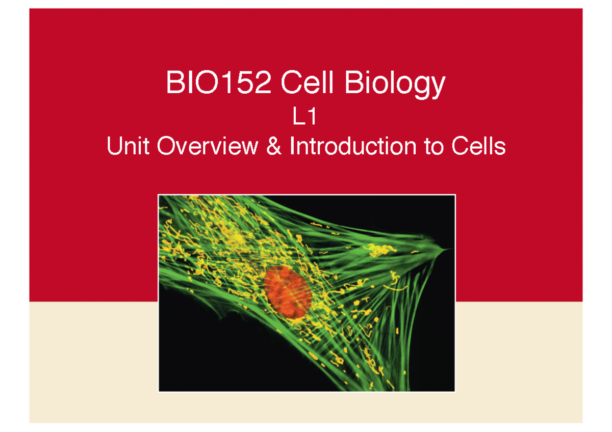 A BIO152 L12021 - notes - BIO152 Cell Biology L Unit Overview ...