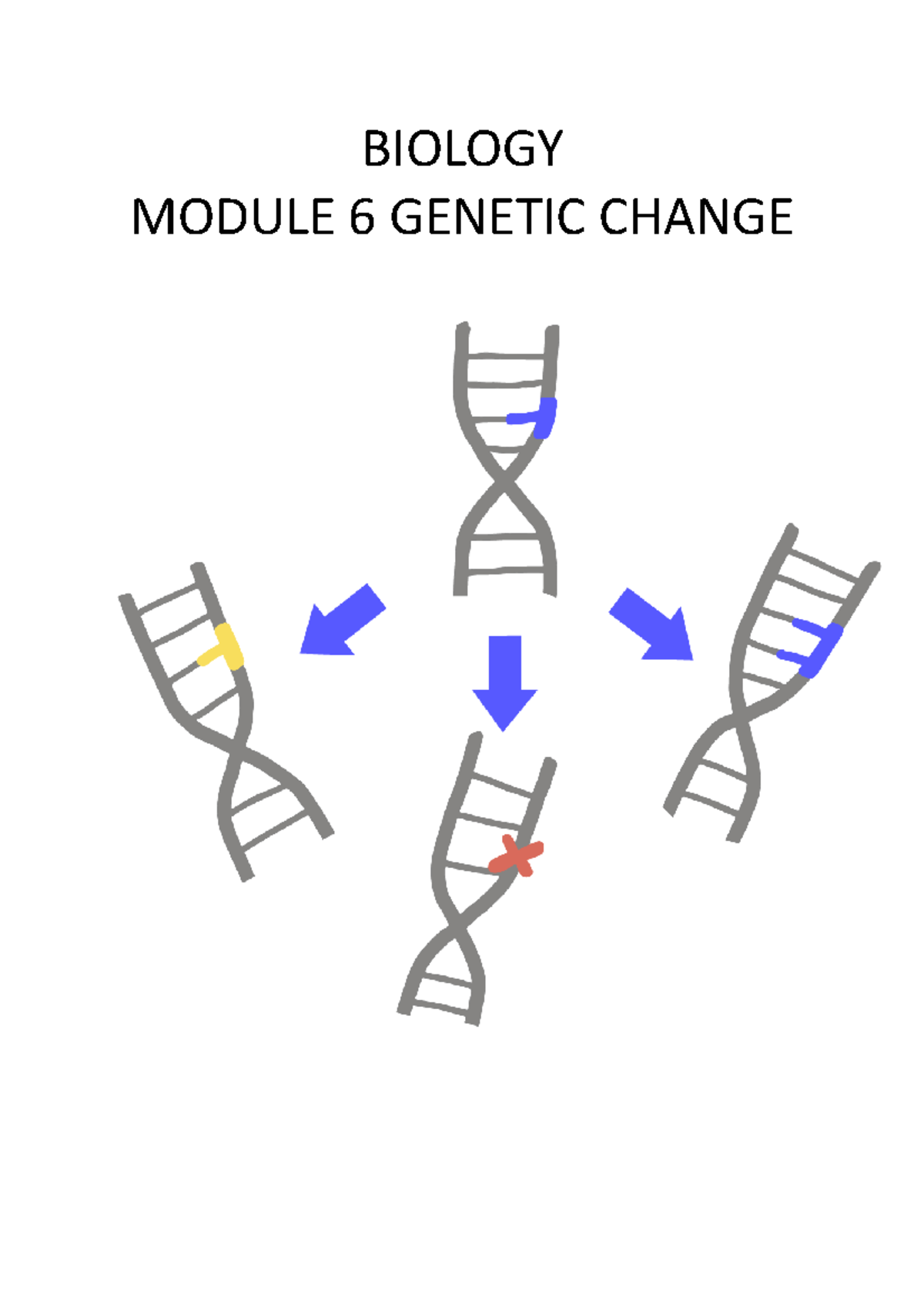 Module 6 Genetic Change - BIOLOGY MODULE 6 GENETIC CHANGE MUTATIONS ...