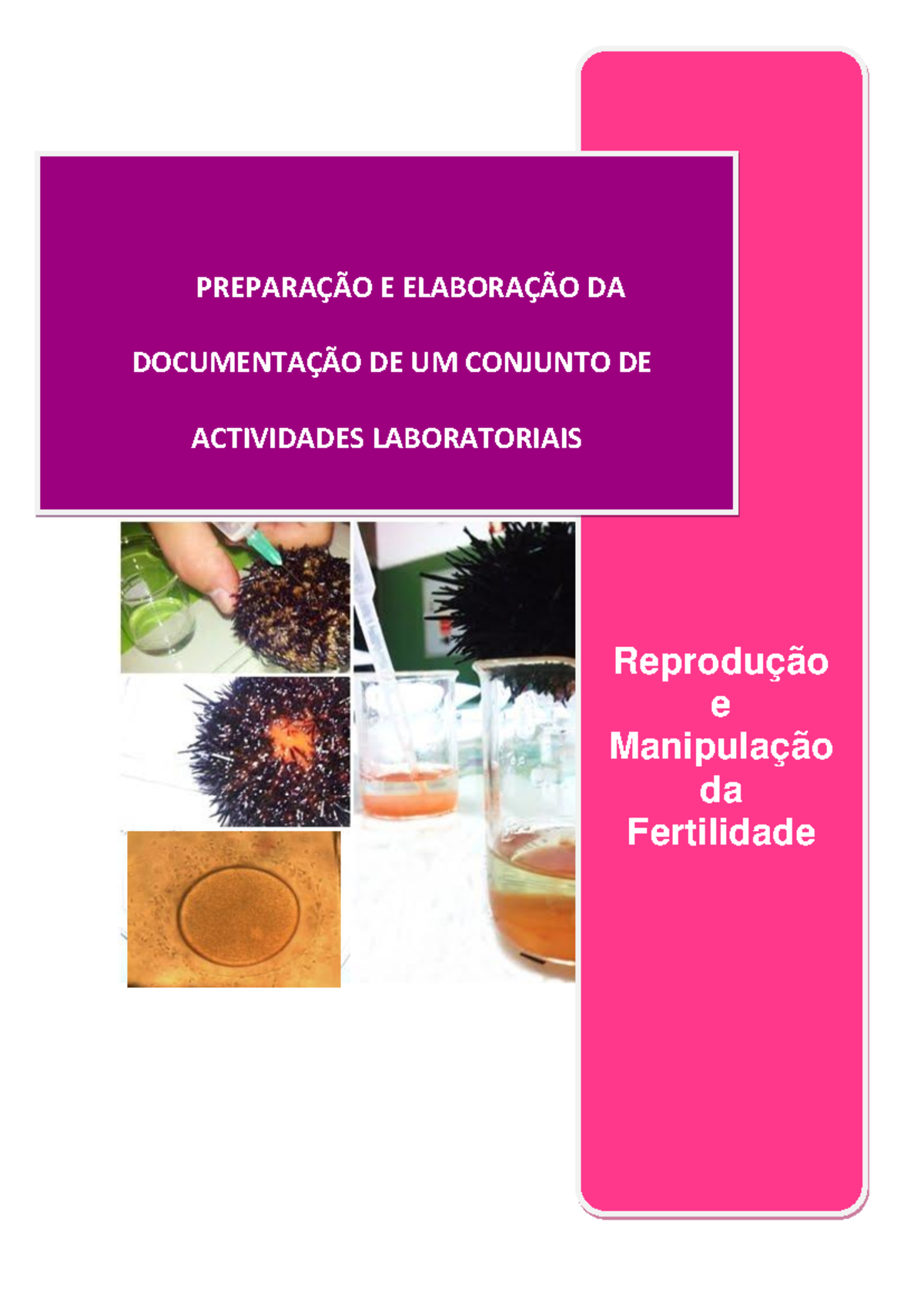 Maria Alexandra Esteves Oliveira de Azemeis - Reproducao - 12o - Aluno ...