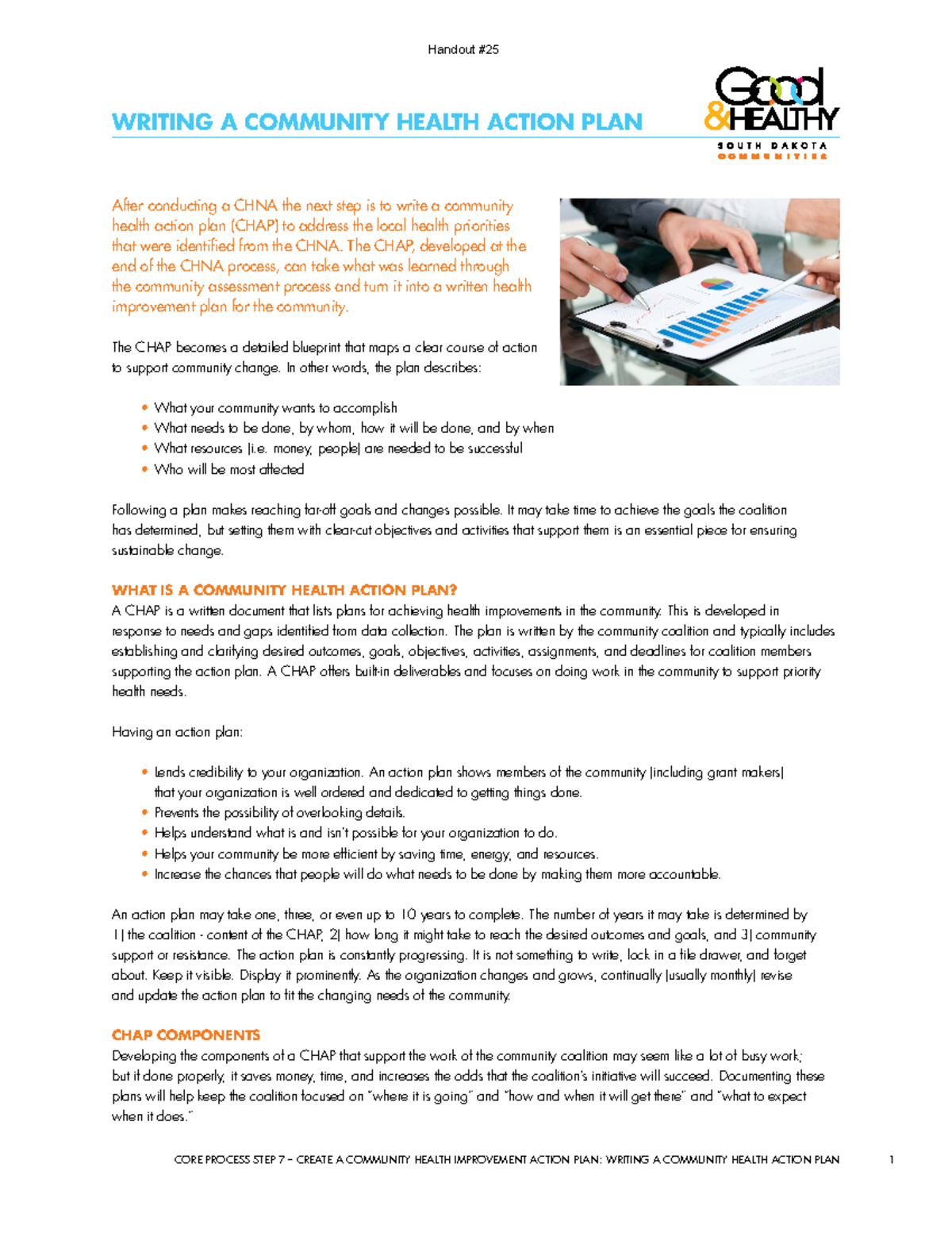 Writing a Community Health Action Plan - CORE PROCESS STEP 7 – CREATE A ...