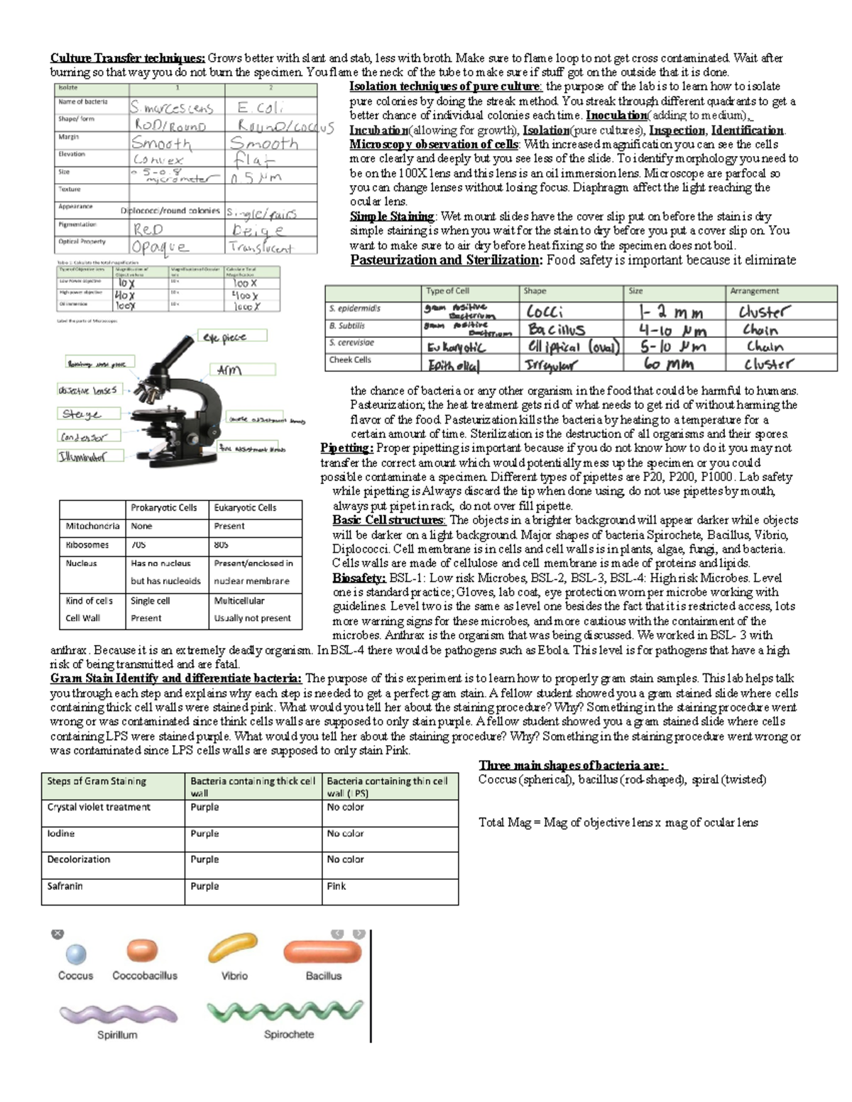 Micro Practicum Final - Culture Transfer techniques: Grows better with ...