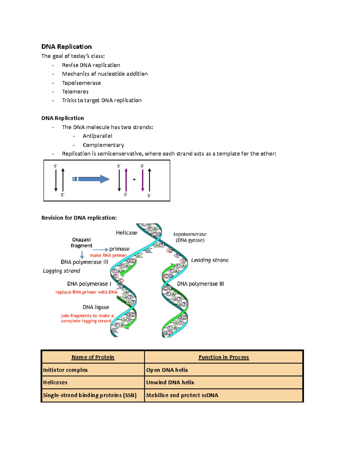 BIOL241 MM Module 2 - DNA Replication The goal of today’s class ...