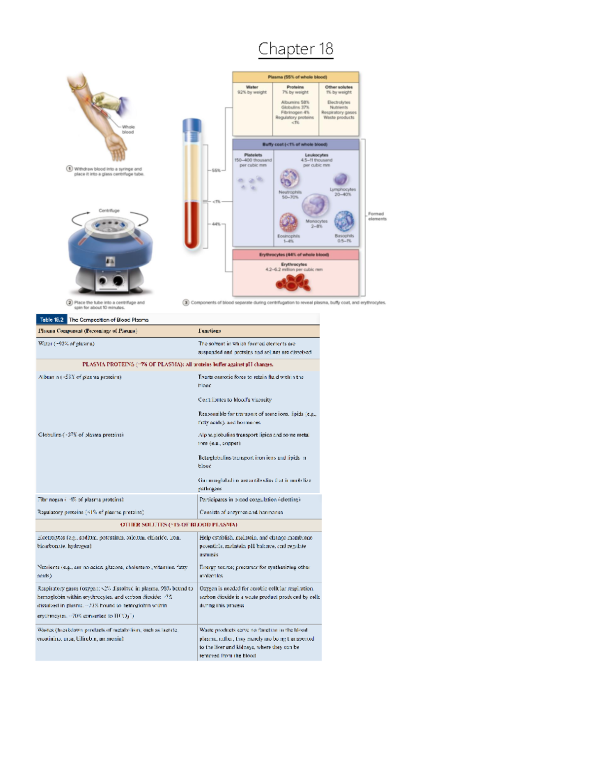 Chapter 18 - Blood - Lecture notes 18 - kin 223 - UNLV - Studocu