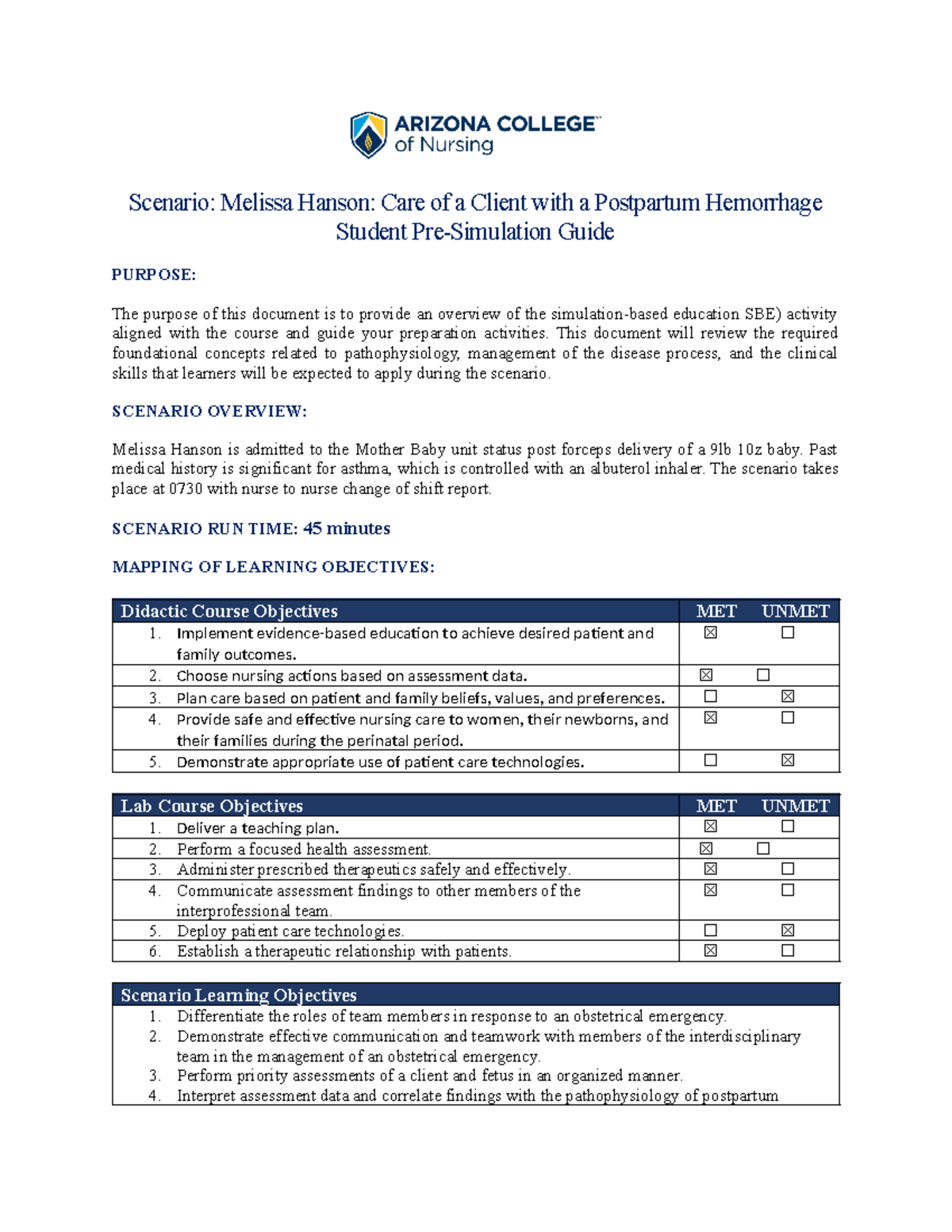 Melissa Hanson Care of a Client with a Postpartum Hemorrhage Student ...