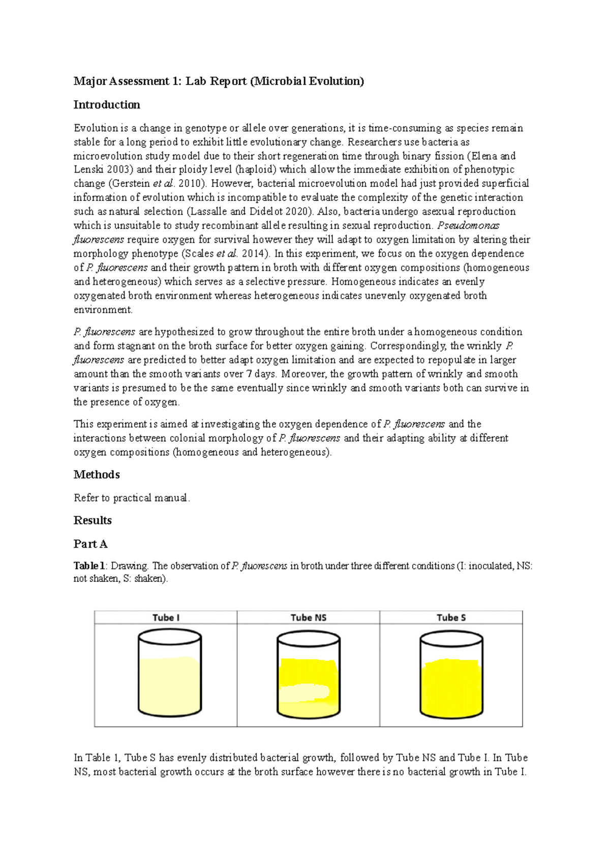 MA1 Lab Report Microbial Evolution - Major Assessment 1: Lab Report ...