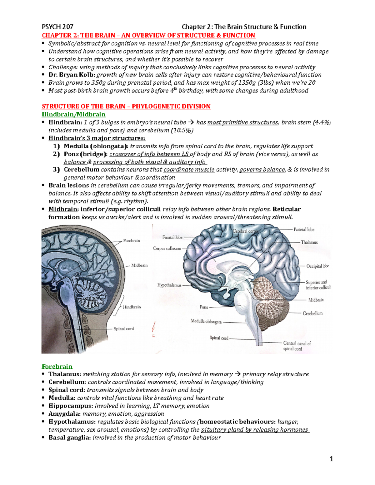 Chapter 2 - Brains Structure and Function - PSYCH 207 Chapter 2: The ...